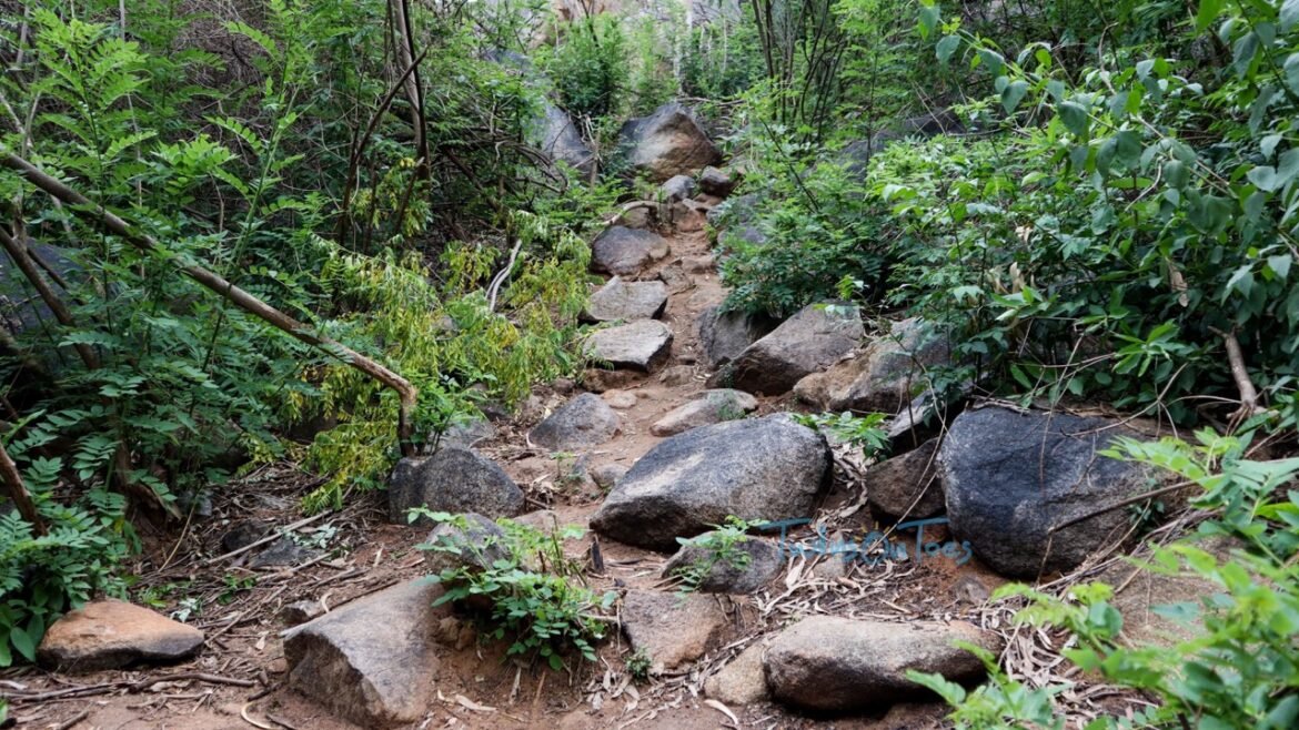 Hiking Guide To Antharagange Hill (& Caves)