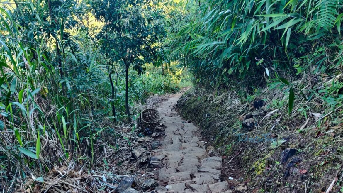 DIY Hiking Guide To Mawryngkhang, Meghalaya; The Bamboo Trek