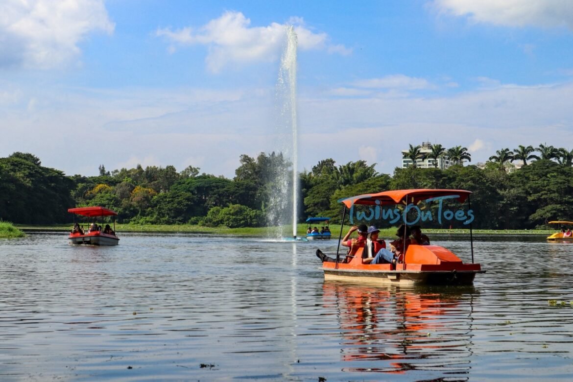 Experience The Best Of Mysore: Top 15 Things To Do