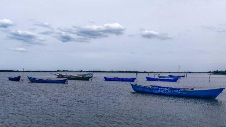 Traveling To Pichavaram? The Only Guide You’ll Ever Need