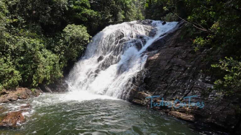 Waterfall Tour At Sinharaja Rainforest, Lankagama & Wathugala