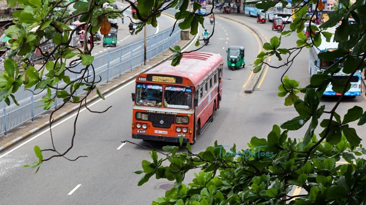 How To Use Different Transports In Sri Lanka (As A Foreigner ...