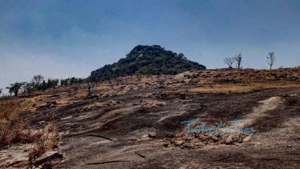 DIY Hiking Guide To Chinaga Betta