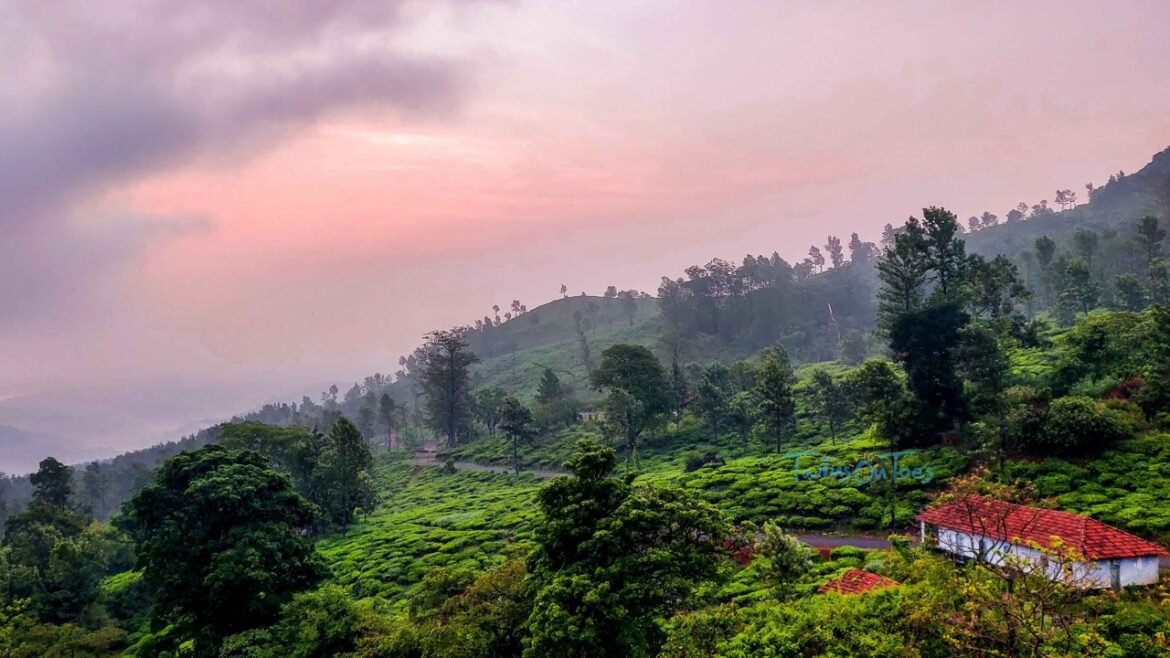 Wayanad-Top 15 Must Visit Places You Shouldn't Miss