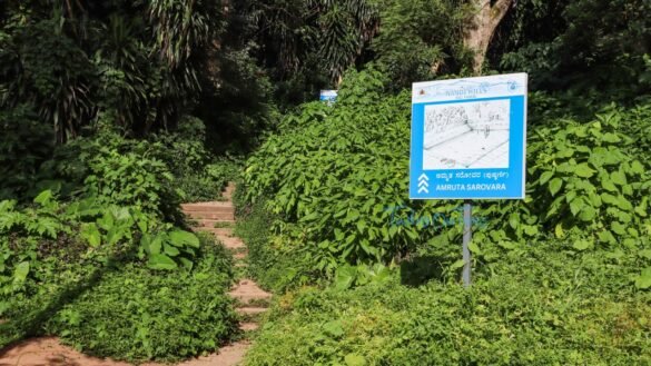 All About Nandi Hills, Bangalore (3 Routes Explained)