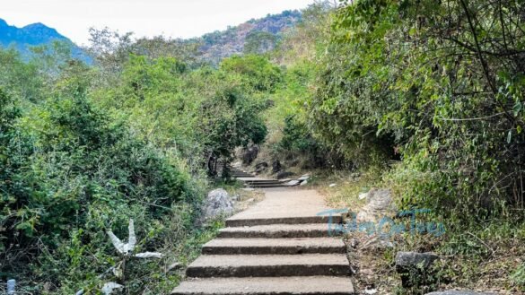 DIY Hiking Guide To Sathuragiri Hill, Tamil Nadu
