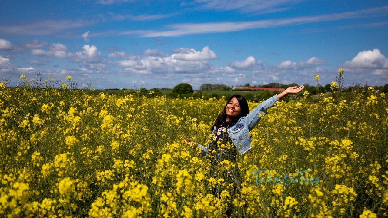 A Guide To A Perfect Day Trip To Ven Island, Sweden