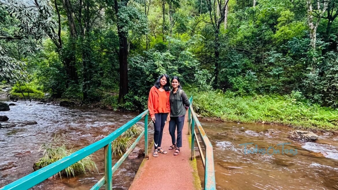 Jeep Ride To Hebbe Falls: Is It Worth INR 500 (per Person)? - TwinsOnToes