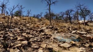 DIY Hiking Guide To Chinaga Betta