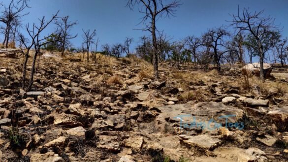 DIY Hiking Guide To Chinaga Betta