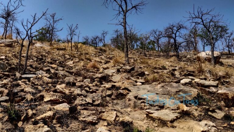 DIY Hiking Guide To Chinaga Betta