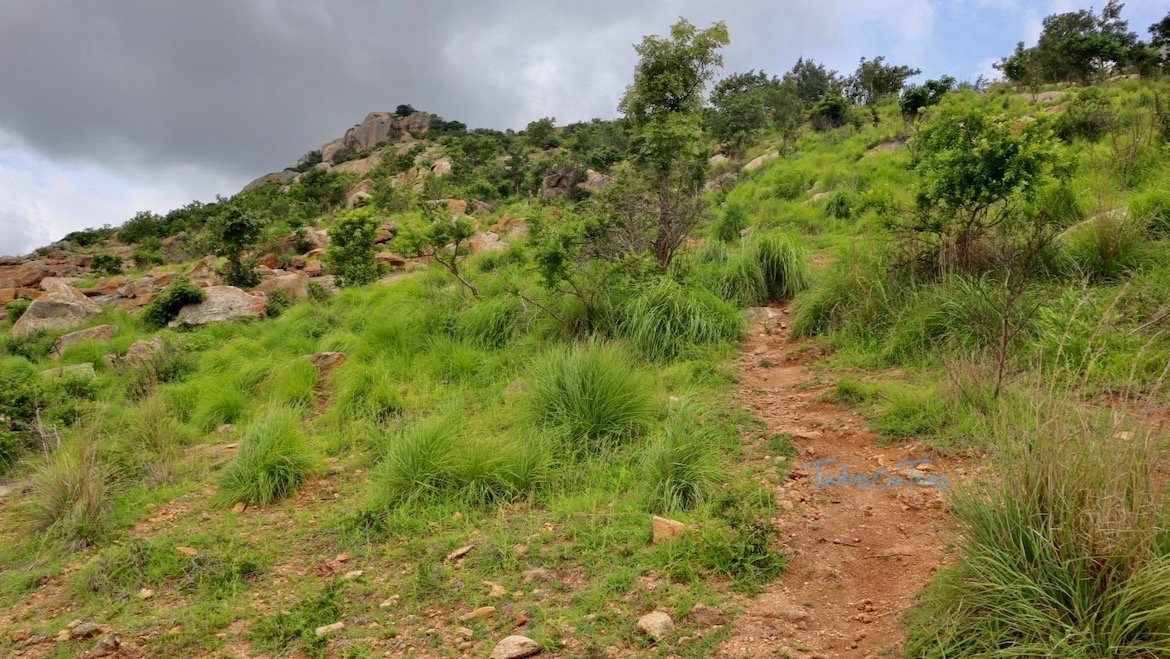 Kaurava Kunda (Harihara Betta) - DIY Hiking Guide