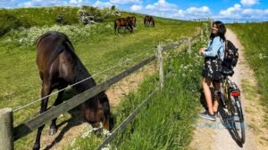 A Guide To A Perfect Day Trip To Ven Island, Sweden