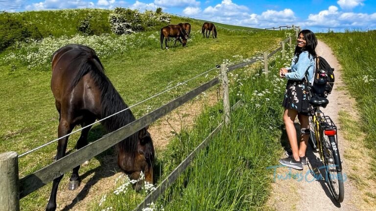 A Guide To A Perfect Day Trip To Ven Island, Sweden