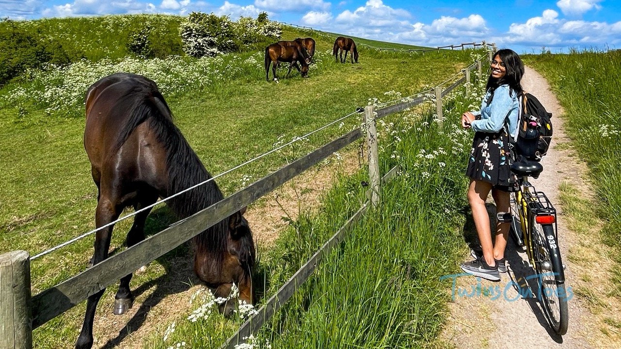 A Guide To A Perfect Day Trip To Ven Island, Sweden - TwinsOnToes