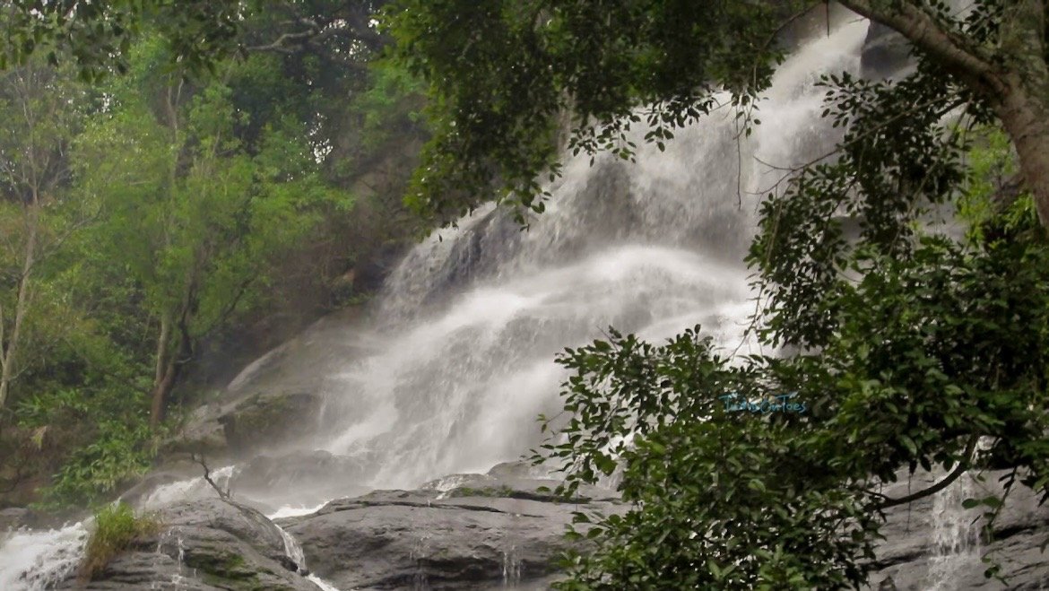 Yercaud - The Place You Might Fall In Love With