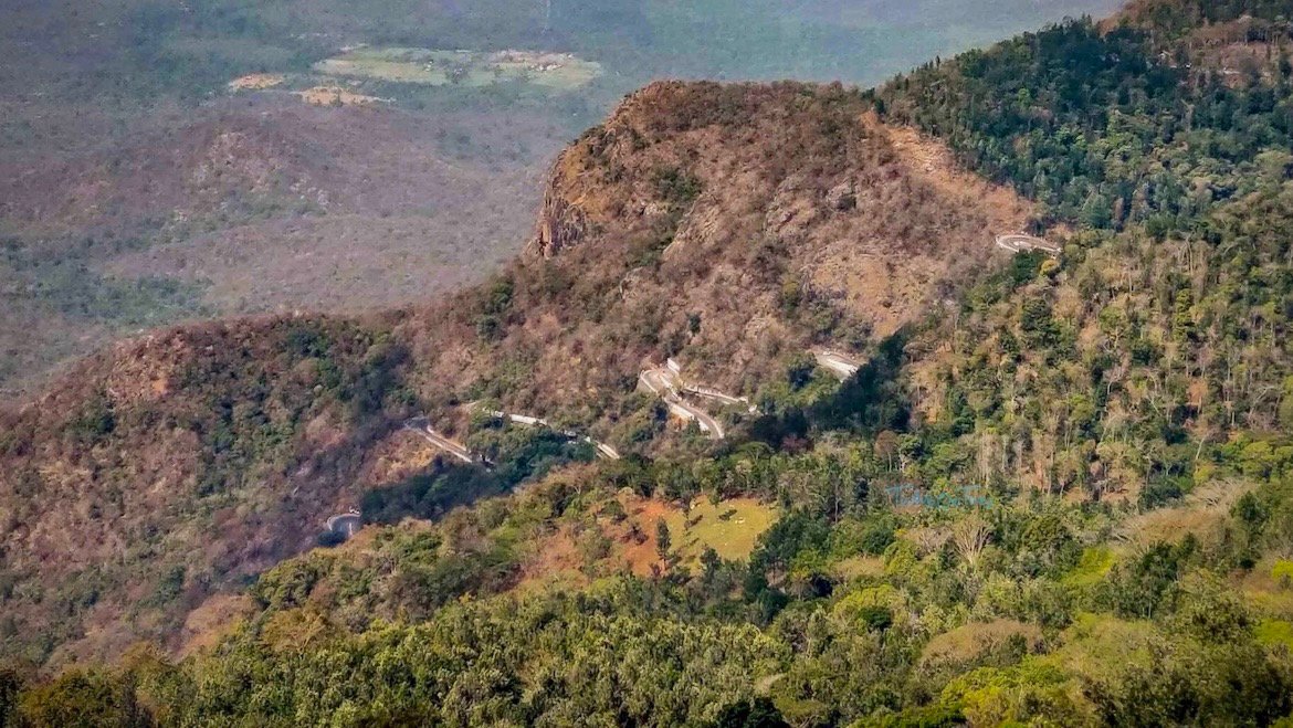 Yercaud - The Place You Might Fall In Love With