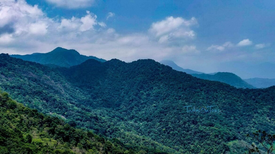 Wayanad-Top 15 Must Visit Places You Shouldn't Miss