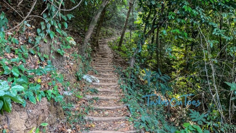 Mainapi Waterfall + Savri Waterfall Hike At Netravali Wildlife Sanctuary