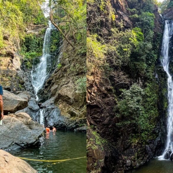 Dudhsagar Waterfall-A Detailed Travel Guide