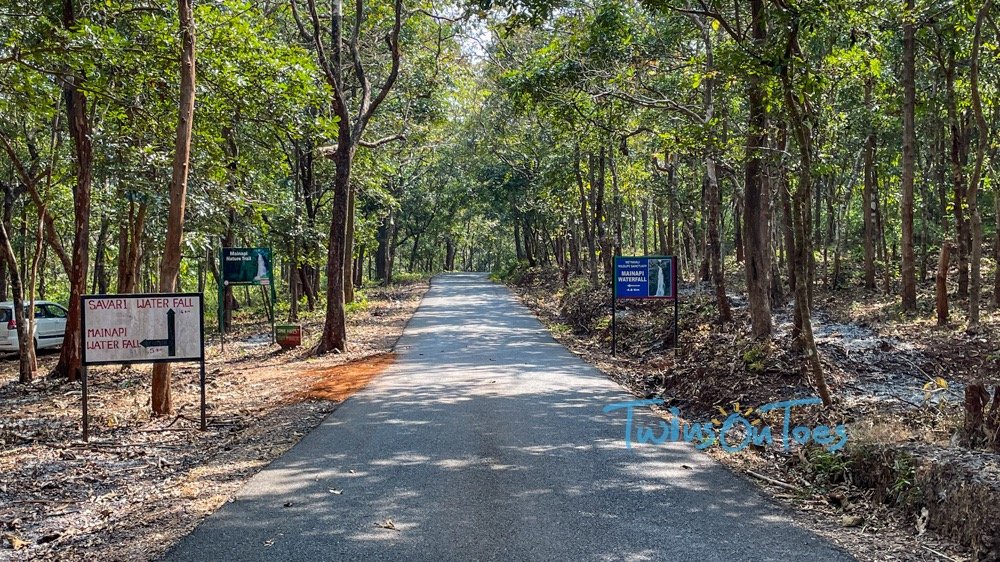 Mainapi Waterfall + Savri Waterfall Hike At Netravali Wildlife Sanctuary