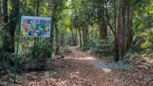 Mainapi Waterfall + Savri Waterfall Hike At Netravali Wildlife Sanctuary