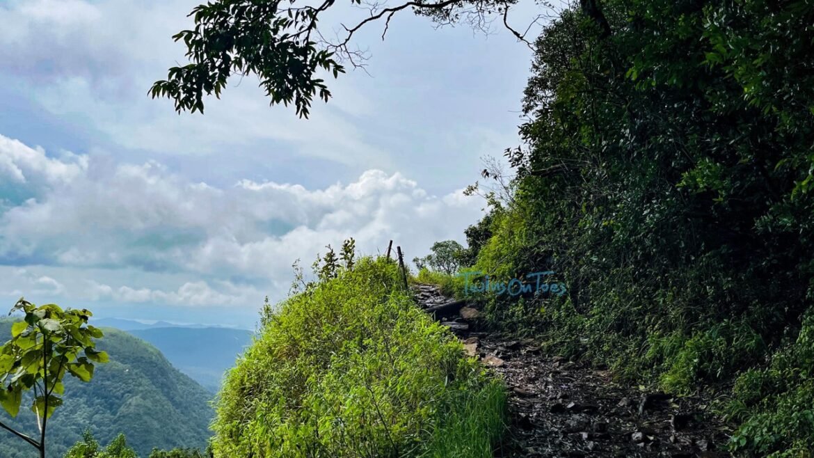 DIY Hiking Guide To Z-Point & Shanti Fall, Kemmangundi - TwinsOnToes