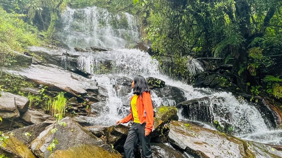 DIY Hiking Guide To Nethravathi Peak From Bangalore (INR 1779)