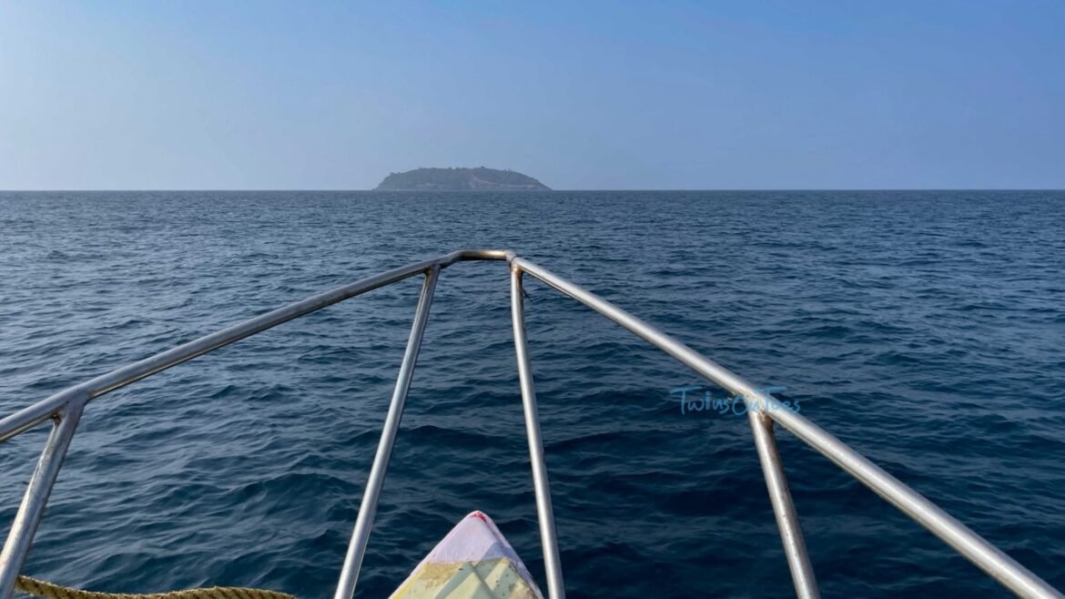 Is Scuba Diving At Netrani Island Worth It?