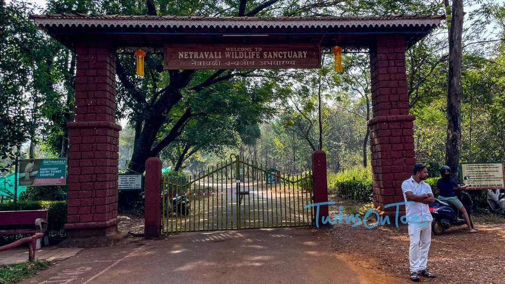 Top 7 Things To Do At Netravali Wildlife Sanctuary (& Nearby), Goa