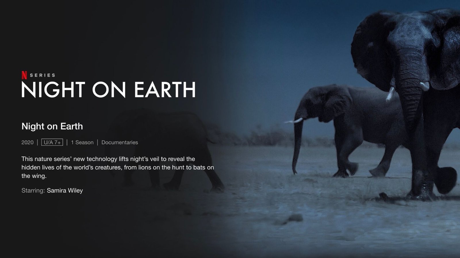 Top 10 Best Travel Docuseries On Netflix