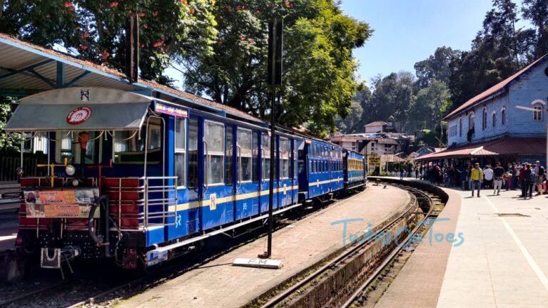 Ooty Toy Train/ Nilgiri Mountain Railway: A Handy Guide For All