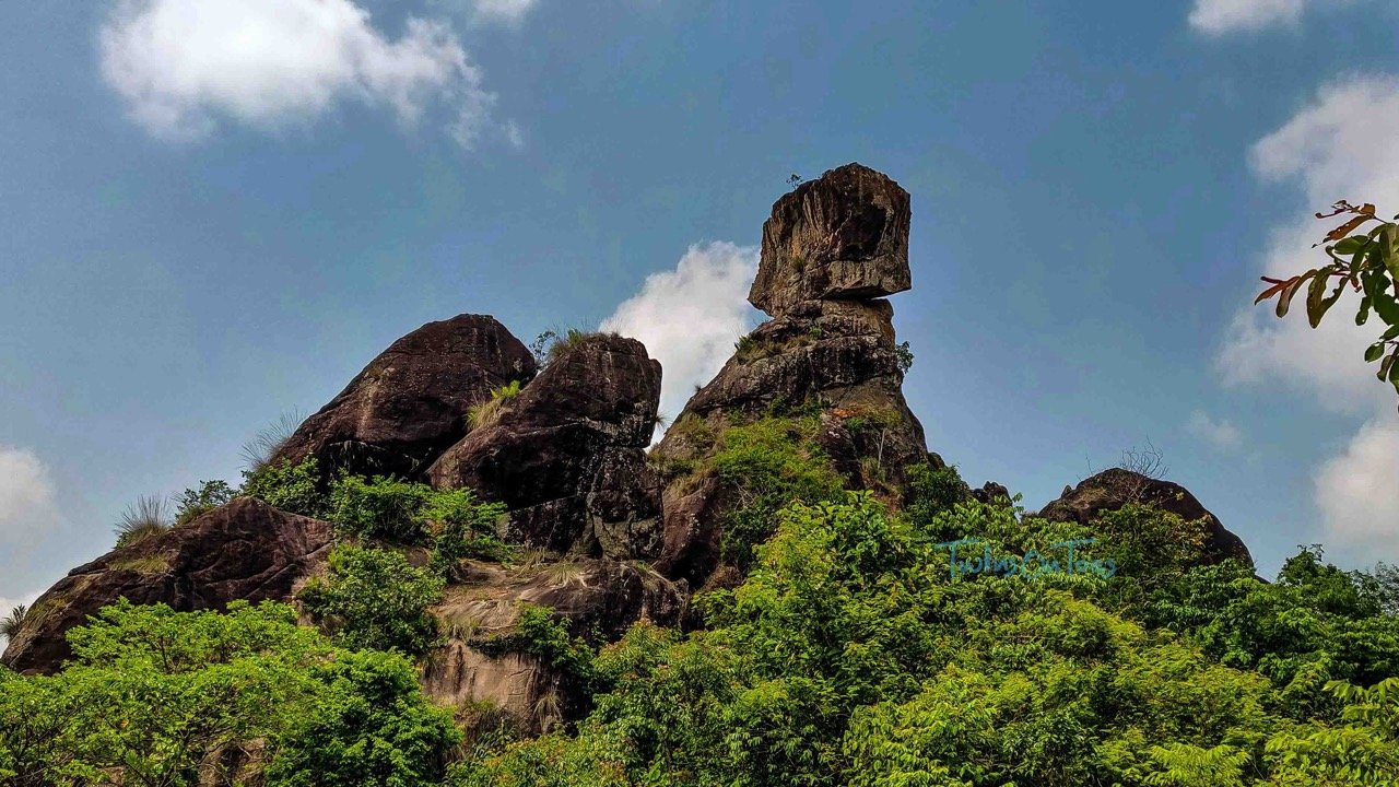 Wayanad-Top 15 Must Visit Places You Shouldn't Miss