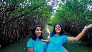 Traveling To Pichavaram? The Only Guide You’ll Ever Need