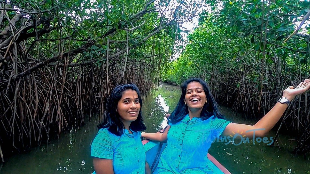Traveling To Pichavaram? The Only Guide You’ll Ever Need