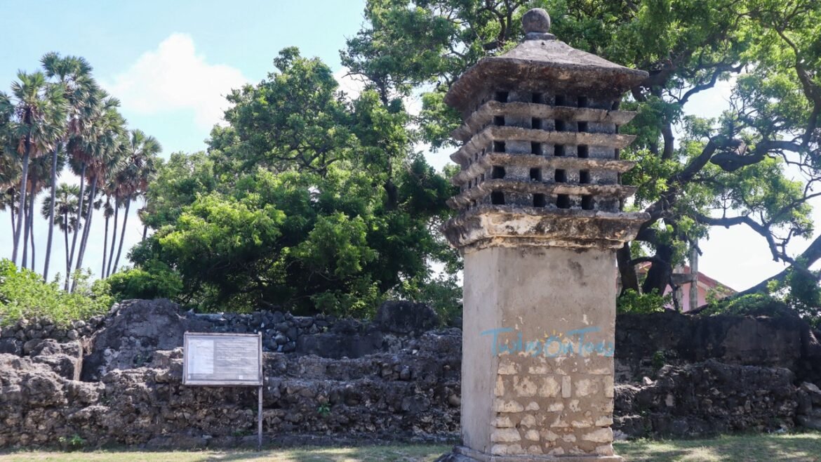 Delft Island Or Neduntheevu: All You Need To Know
