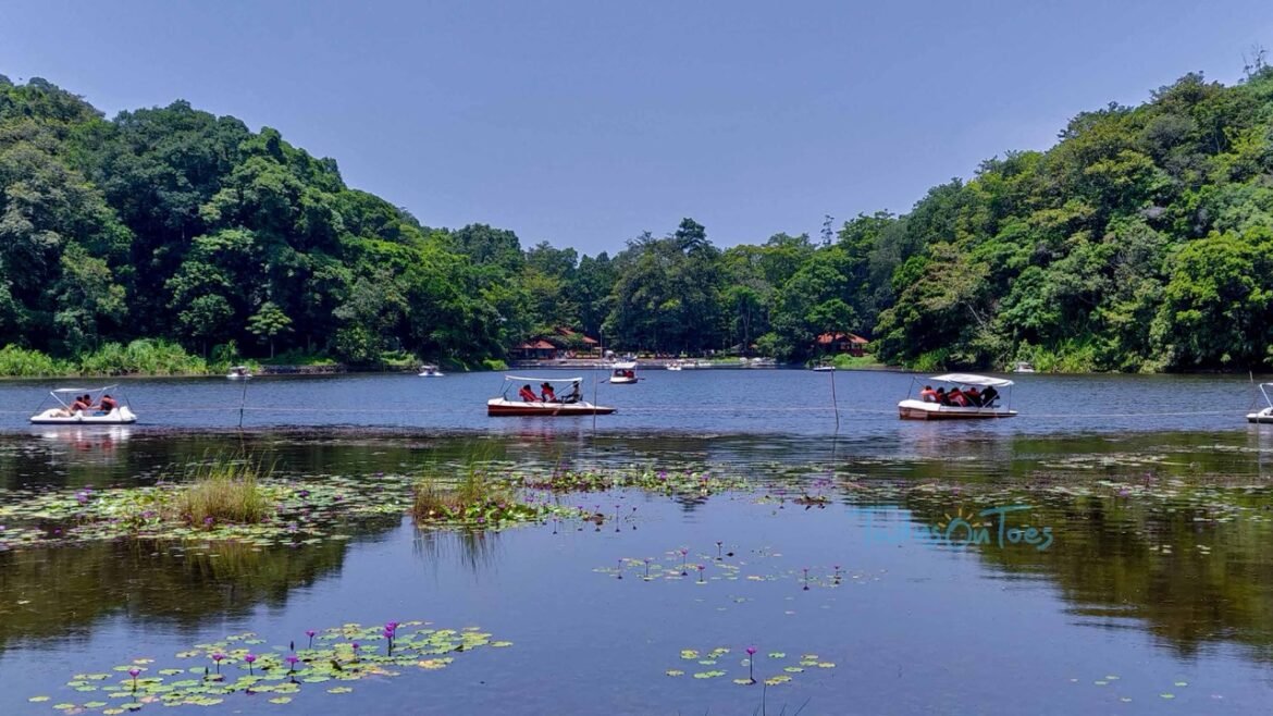 Wayanad-Top 15 Must Visit Places You Shouldn't Miss