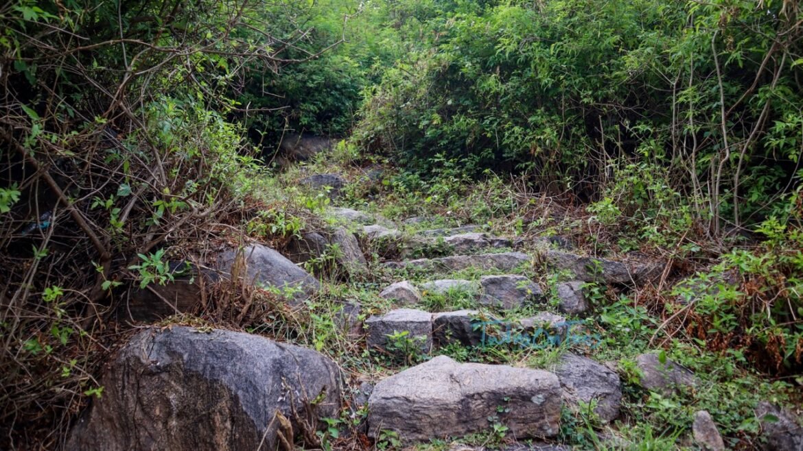 DIY Hiking Guide To Rayakottai Fort, Tamil Nadu