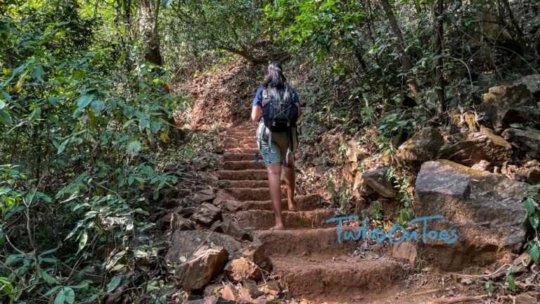 Mainapi Waterfall + Savri Waterfall Hike At Netravali Wildlife Sanctuary