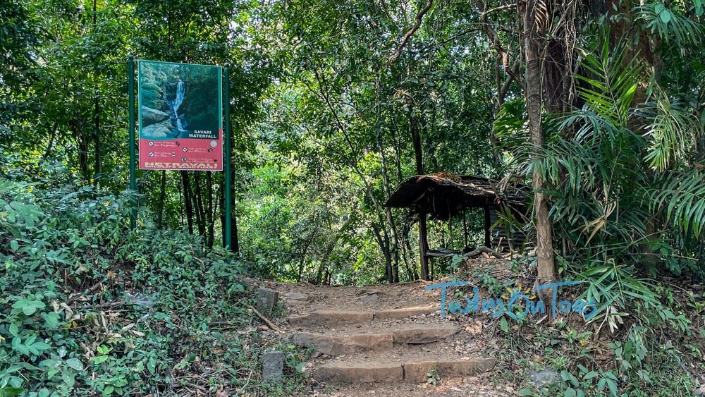 Mainapi Waterfall + Savri Waterfall Hike At Netravali Wildlife Sanctuary