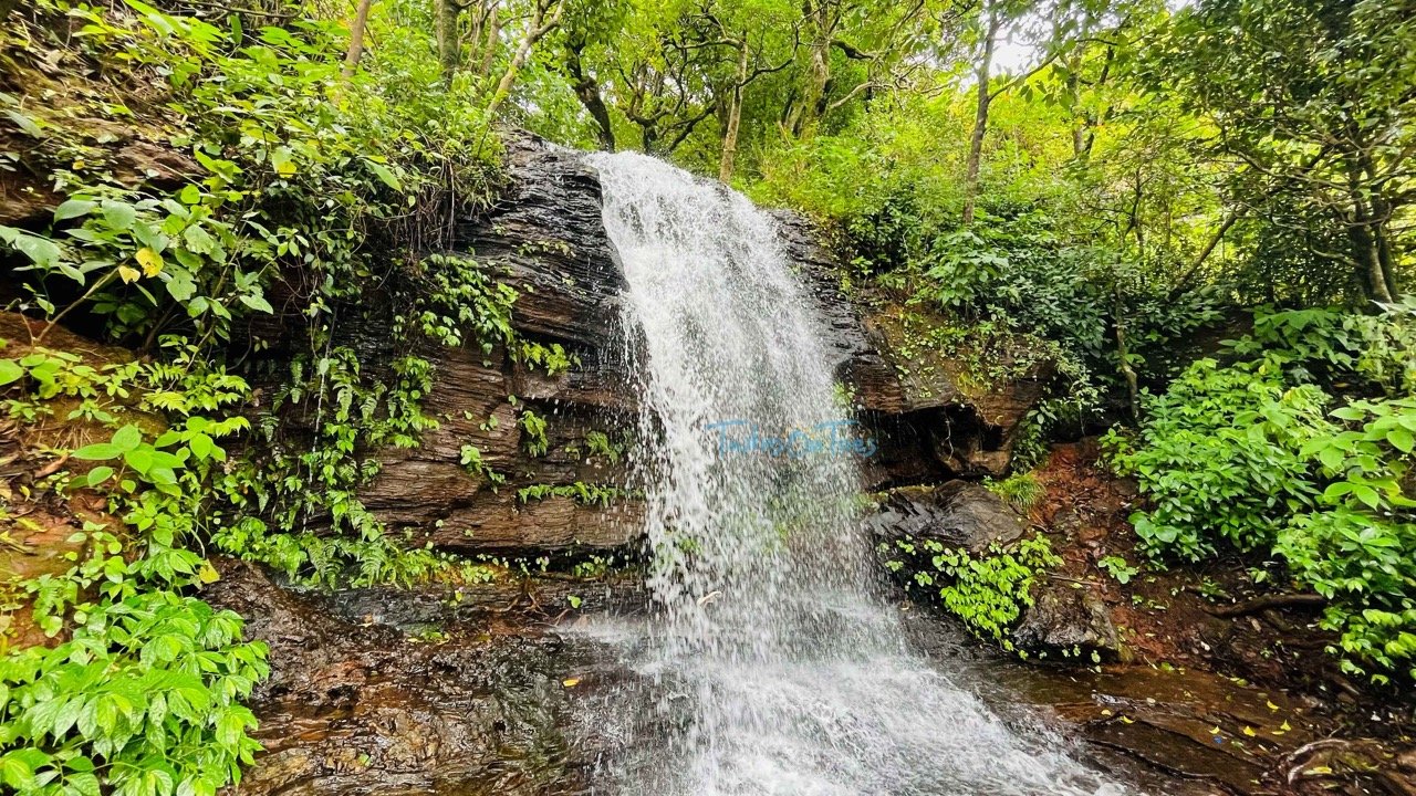 DIY Hiking Guide To Z-Point & Shanti Fall, Kemmangundi - TwinsOnToes