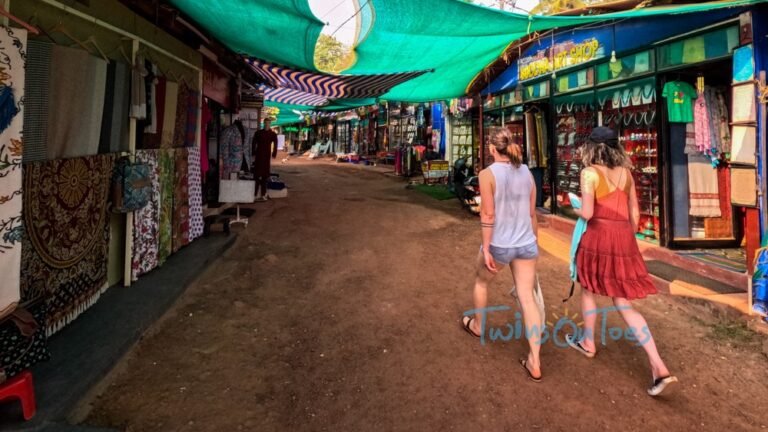 10 Best Things To Do In Varkala (Kerala)