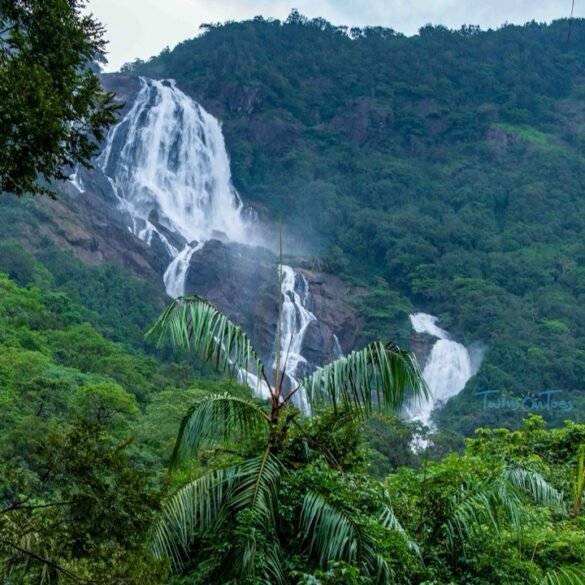 Mainapi Waterfall + Savri Waterfall Hike At Netravali Wildlife Sanctuary