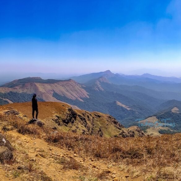 DIY Hiking Guide To Nethravathi Peak From Bangalore (INR 1779)