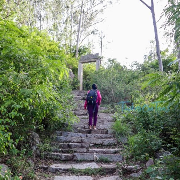 DIY Hiking Guide To Chinaga Betta