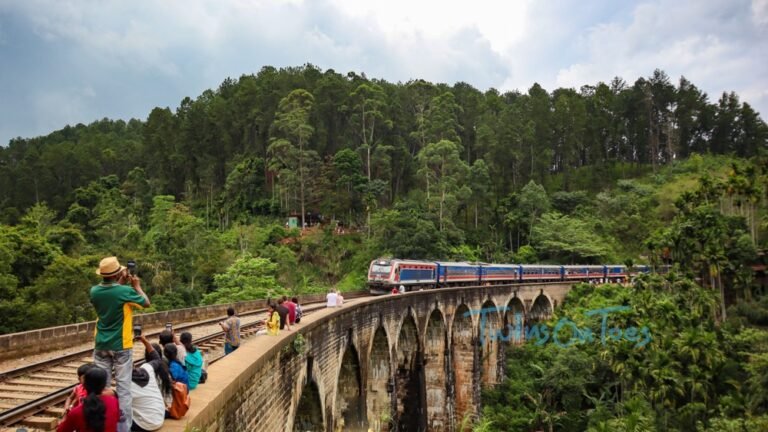 Ella’s 9 Arches Bridge: A Complete Guide