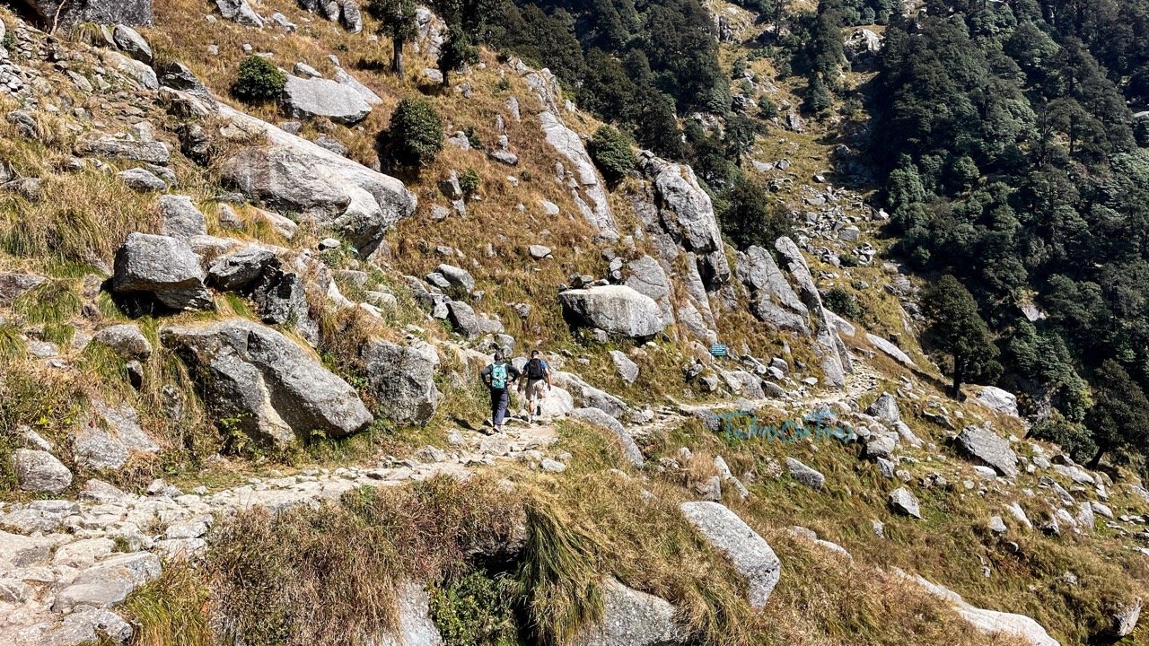 DIY Hiking Guide To Triund, Dharamkot (Himachal Pradesh)