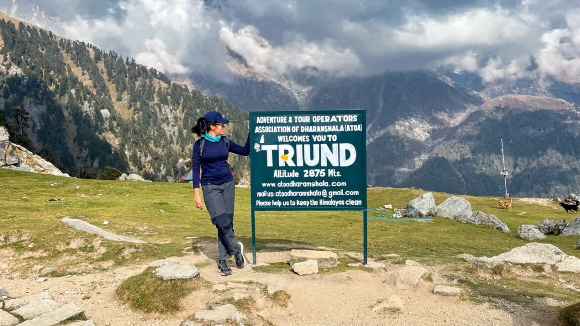 DIY Hiking Guide To Triund, Dharamkot (Himachal Pradesh)