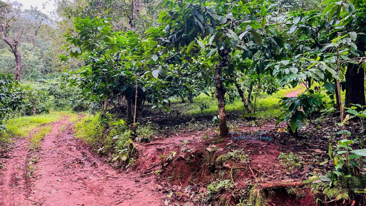 Hiking Guide To The Lesser-Explored Ukkada Waterfall