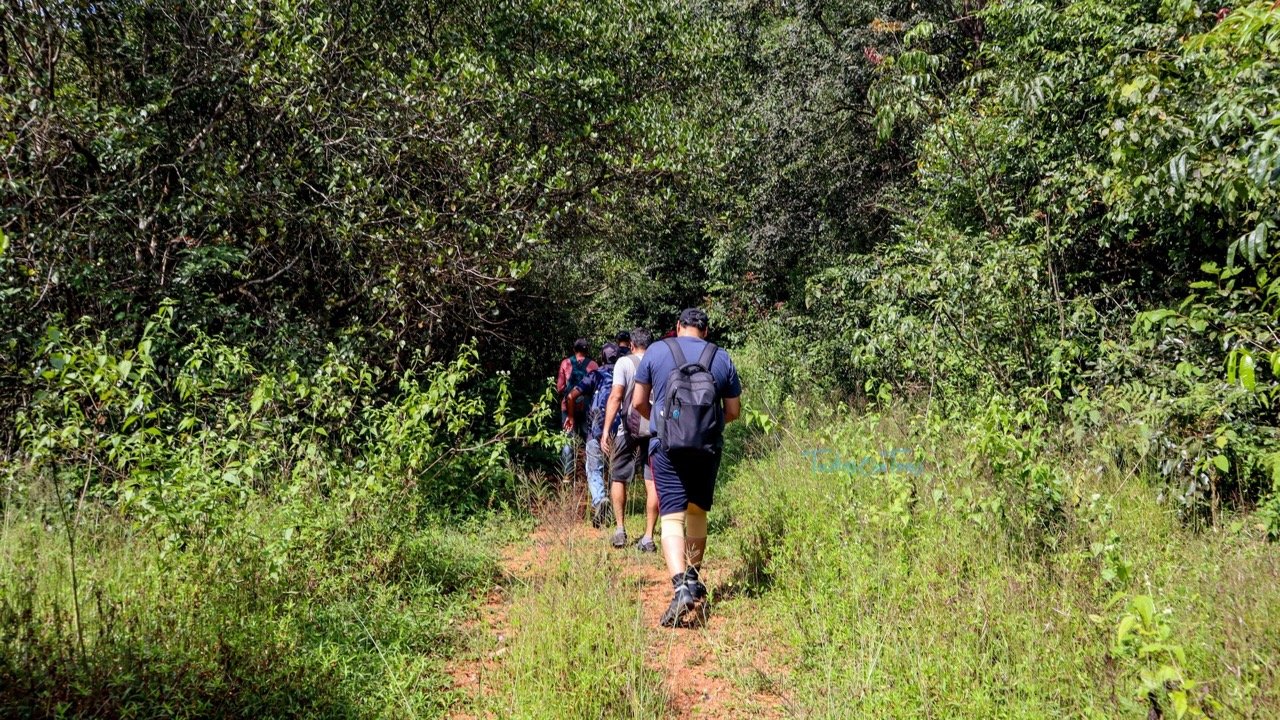 DIY Hiking Guide To Valikunja, Agumbe